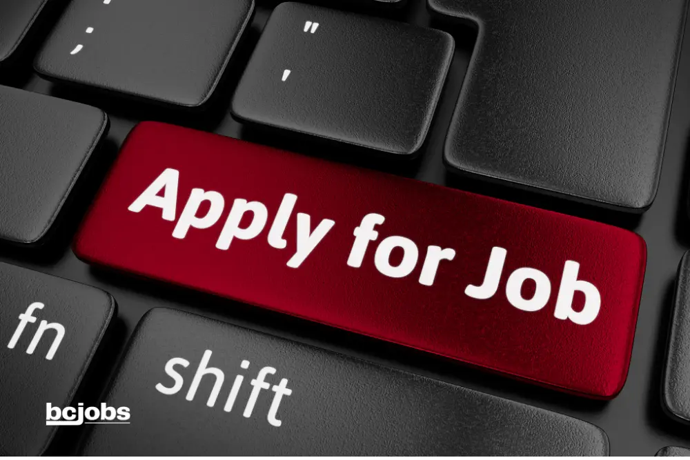 When Is The Best Time Of The Year To Apply For Jobs Bcjobs Ca
